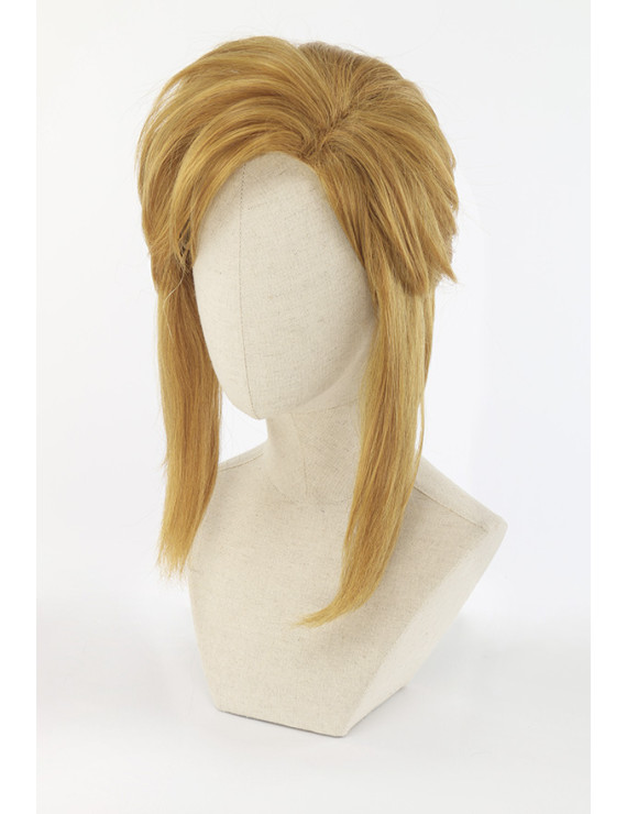The Legend of Zelda Breath of the Wild Link Game Cosplay Wig ( free ...