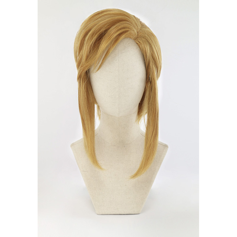 The Legend of Zelda Breath of the Wild Link Game Cosplay Wig ( free ...