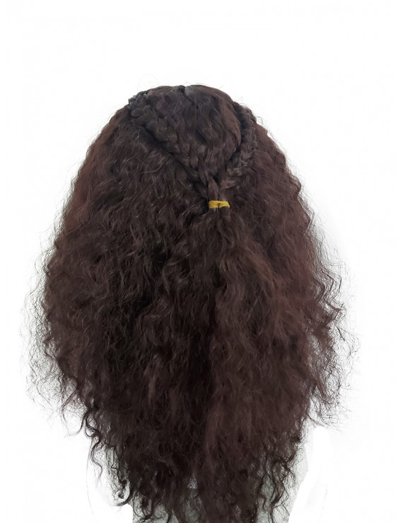 Raya and The Last Dragon Raya Brown Long Curly Cosplay Wig ( free ...