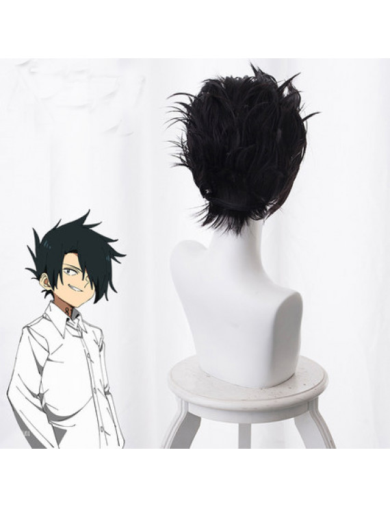 ( free shipping ) - $19.99