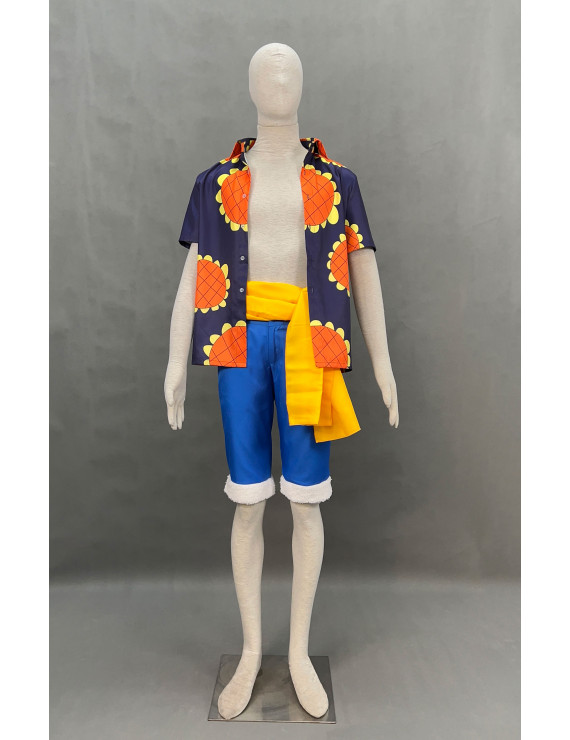 One Piece Dressrosa Monkey D Luffy Cosplay Costume ( free shipping ...