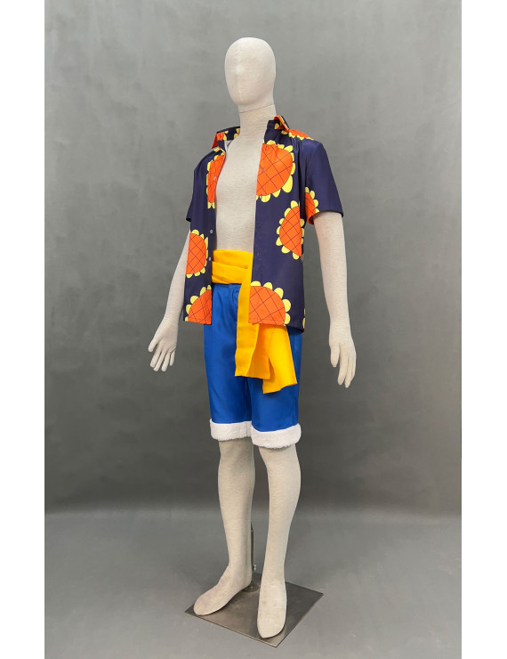 One Piece Dressrosa Monkey D Luffy Cosplay Costume ( free shipping ...